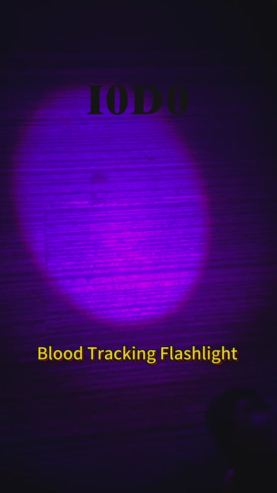 How effective is a Woods lamp in detecting fungal infections? – Blood ...