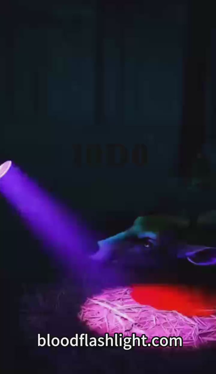 Can UV flashlights detect blood? – Blood Tracking Light