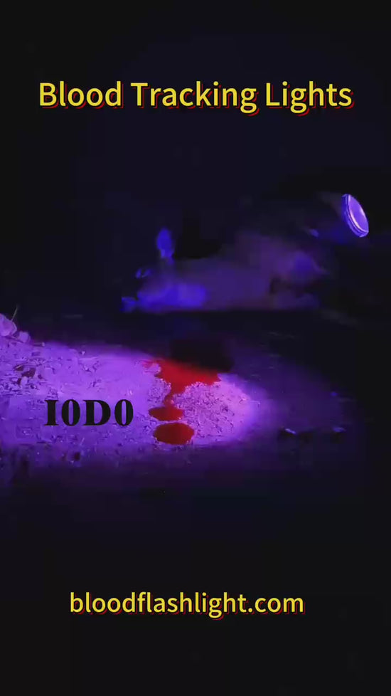 Can UV flashlights detect blood? – Blood Tracking Light